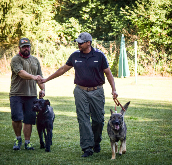 Patrick Lockett – Haus Amberg Shepherds