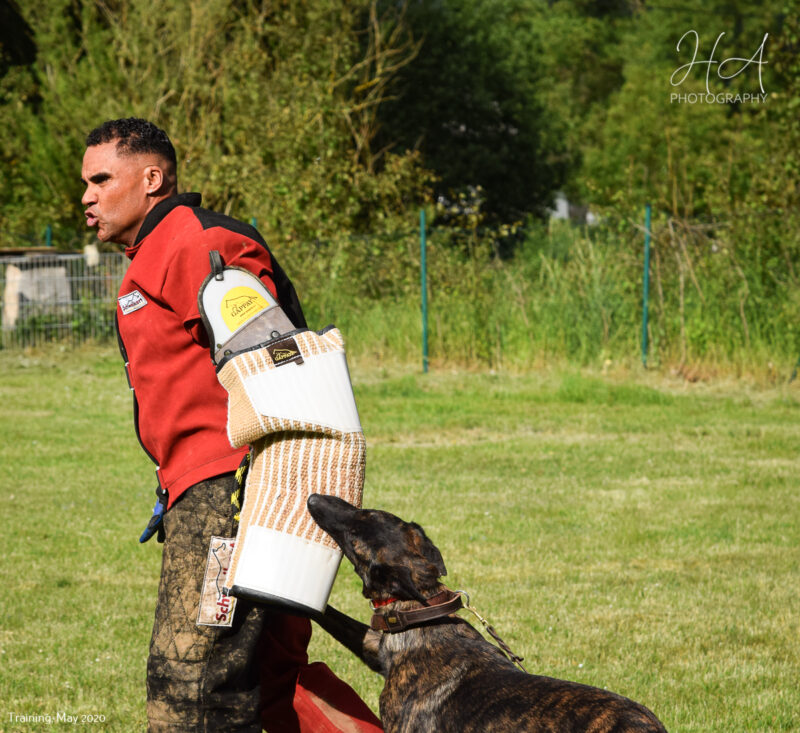 Patrick Lockett – Haus Amberg Shepherds